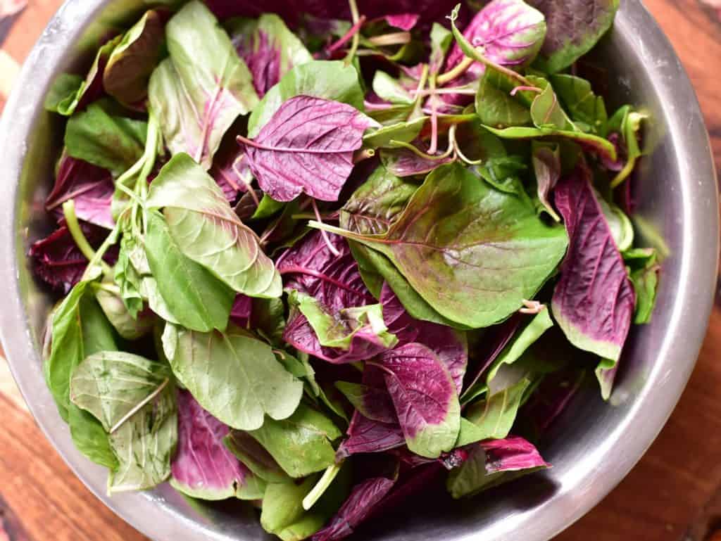 Amaranth Leaves Roti |amaranth paratha - EasyNutritionHub